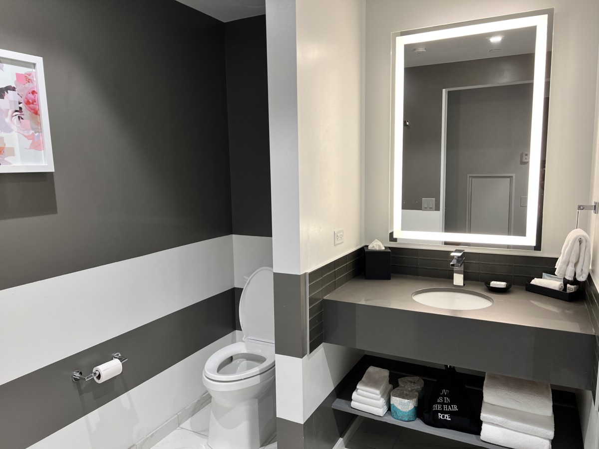 Review The Rose Hotel Chicago O’Hare ORD, Tapestry Collection by Hilton ...
