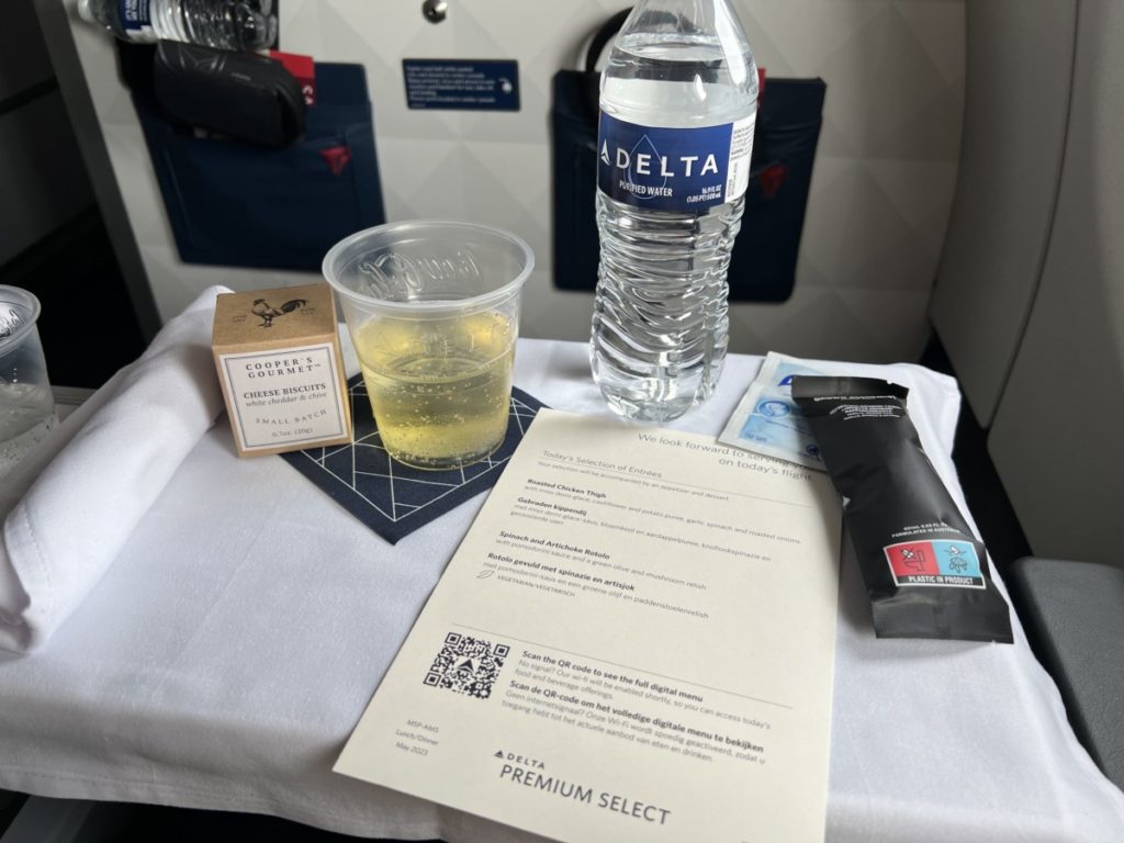 Review: Delta Air Lines Premium Select | Minneapolis - Amsterdam ...